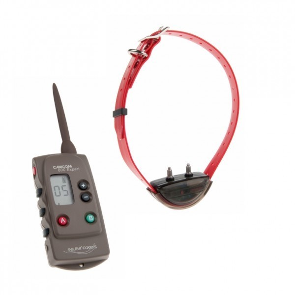 Collier de dressage Canicom 800 Expert - Colliers de dressage | Made in ...