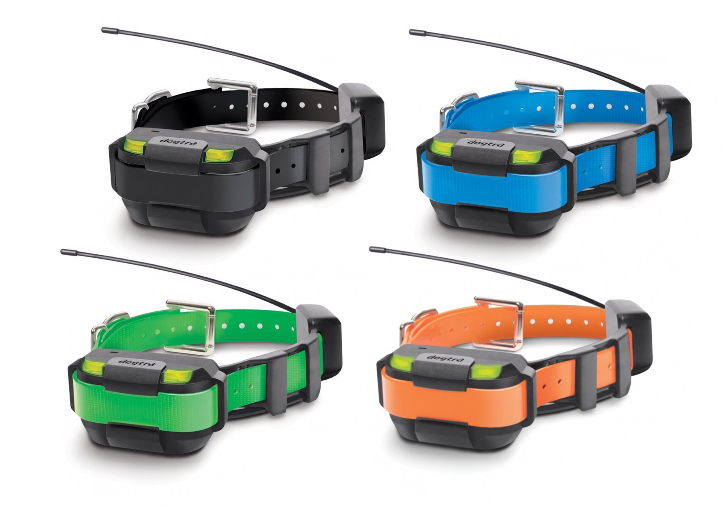 Collier suppl. dressage et repérage GPS Pathfinder Mini Dogtra ...