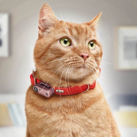 Répulsif TICKLESS Mini Cat rechargeable - Rose métallisé - Tous les ...