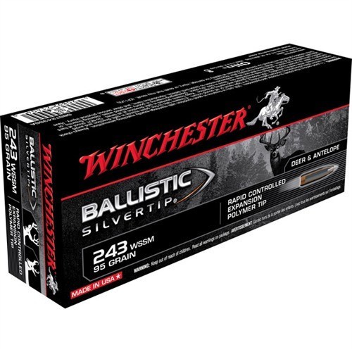 Cartouche Winchester / cal. 243 WSSM - Ballistic Silvertip 6.16 g ...