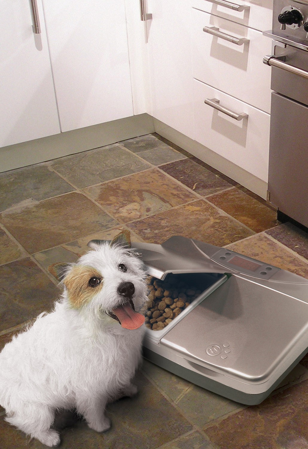 Distributeur de nourriture PetPod - Alimentation du chien | Made in Chasse