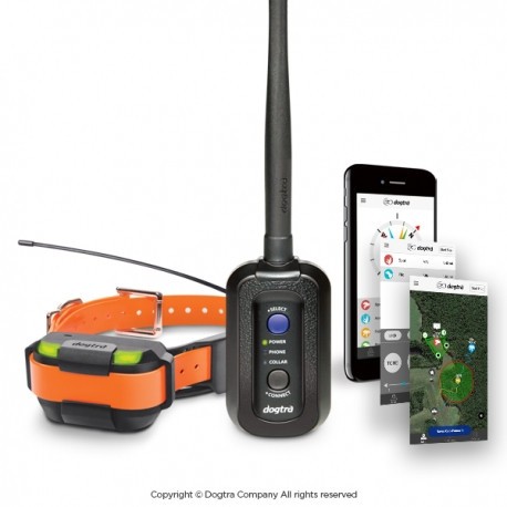 Système dressage repérage GPS Dogtra Pathfinder Mini - Colliers de ...