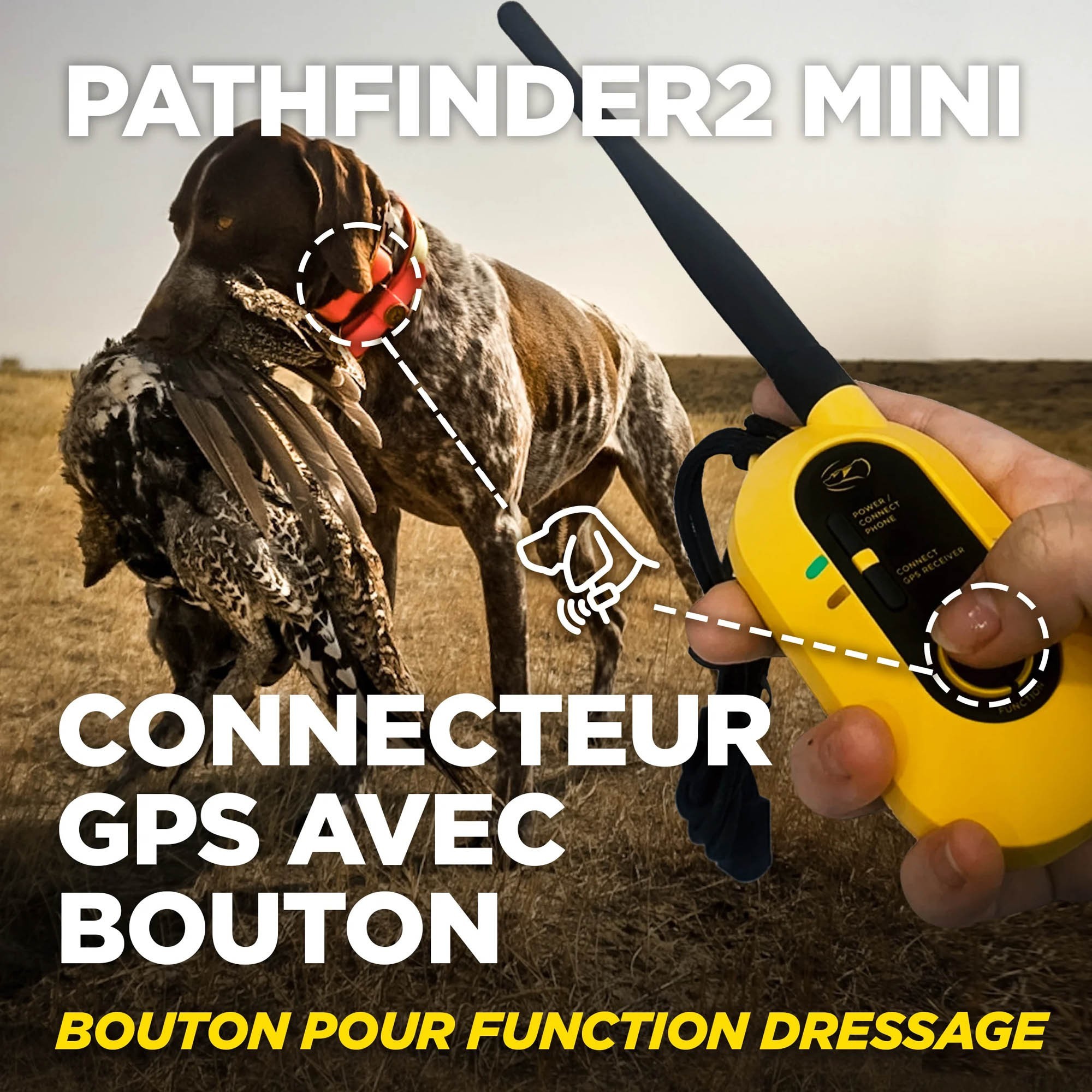 Système dressage repérage GPS Dogtra Pathfinder 2 Mini - Colliers de ...